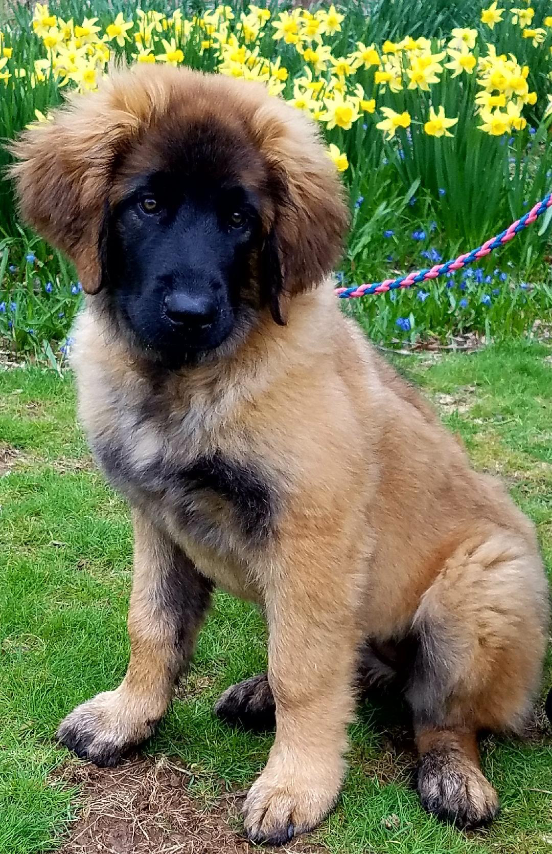 My Obsessions – Emma Kaye